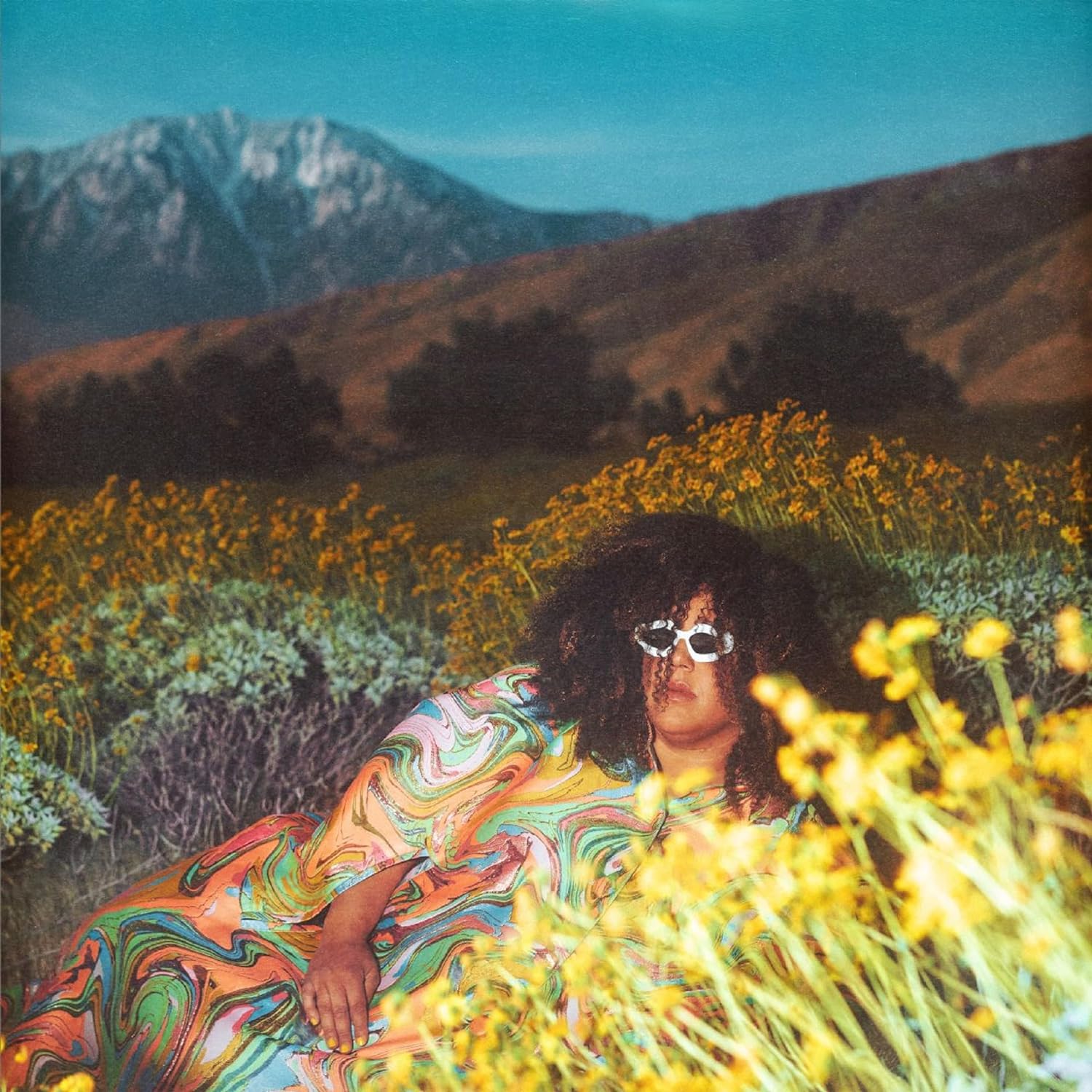 Brittany Howard (Alabama Shakes/Thunderbitch) Returns With New Solo ...